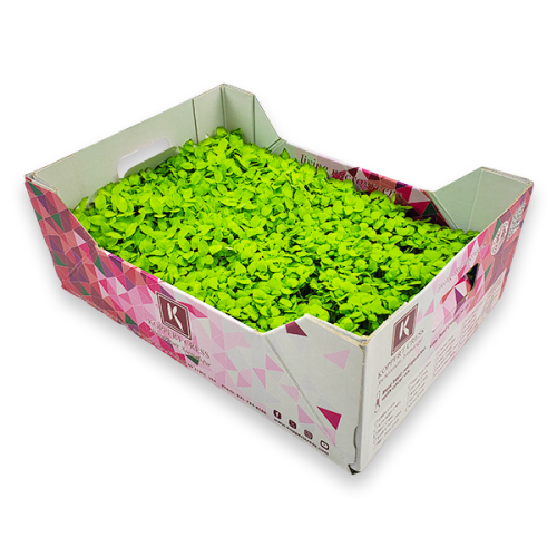 Fresh Microgreens | Local Produce - Long Island, New York, USA