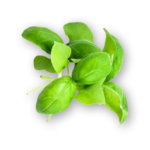 Fresh Microgreens | Local Produce - Long Island, New York, USA