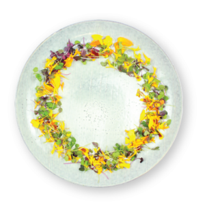 Buy Micro Celebration Mix in New York | Flavour Fields