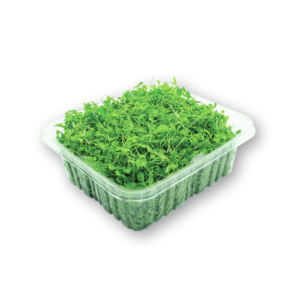 Buy Micro Chive in New York | Flavour Fields