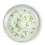 Micro Cilantro - Flavour Fields