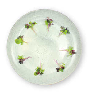 Microgreens Rainbow Mix – Bold Color, Chef-Approved Flavor