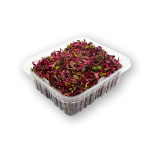 Micro Ruby Mix - Flavour Fields