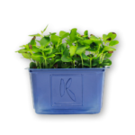 Tahoon Cress - Flavour Fields